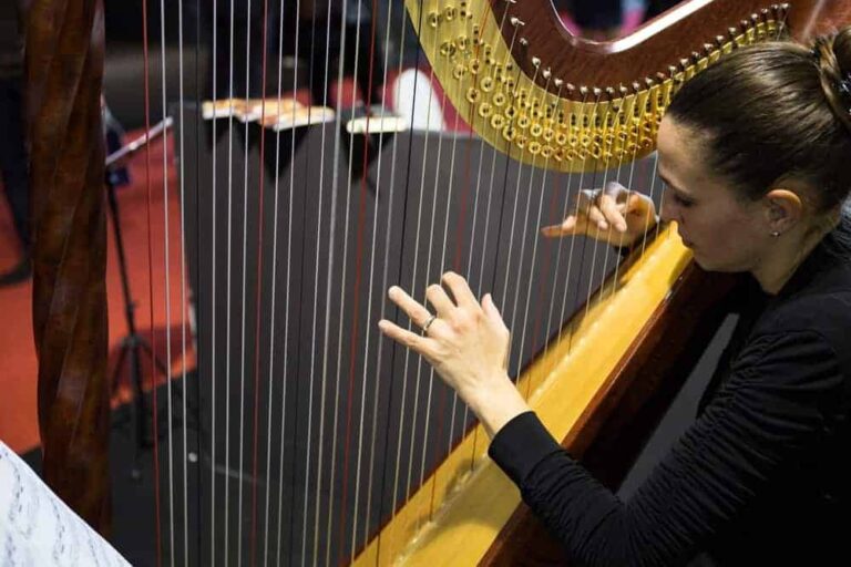 18 Popular Types of Harps Explained